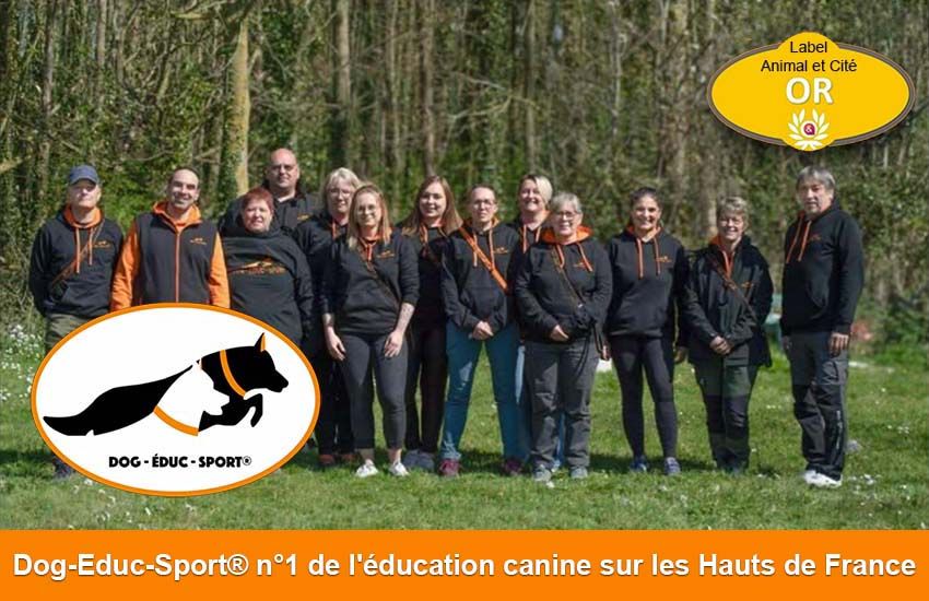 Dog Educ Sport